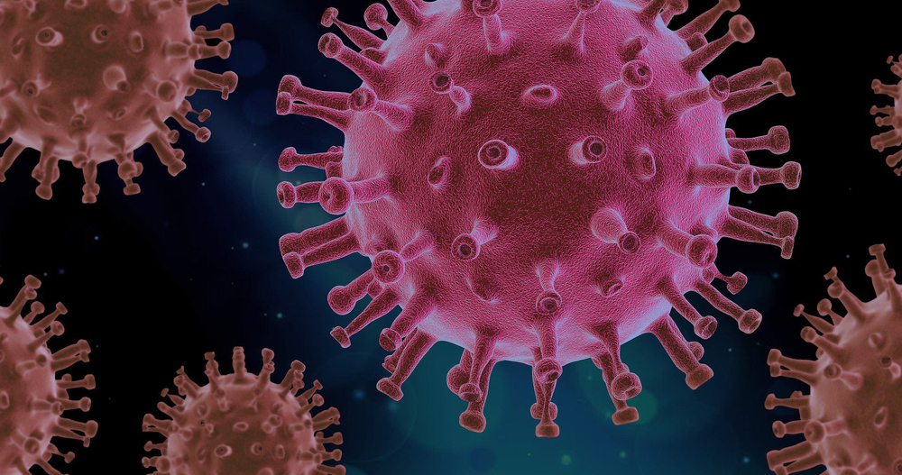 The Variant Within - T3