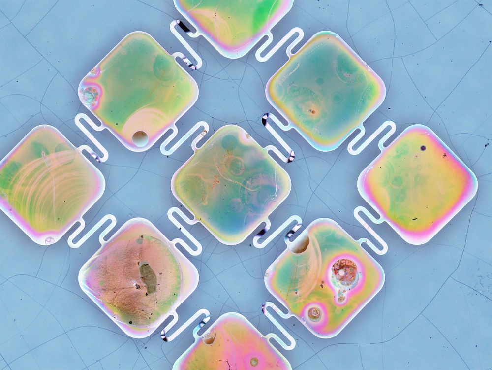 Window to the Nervous System - T3